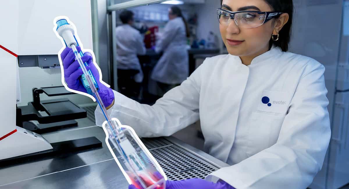 Evotec-Aktie +4%: So geht's jetzt weiter › sharedeals.de