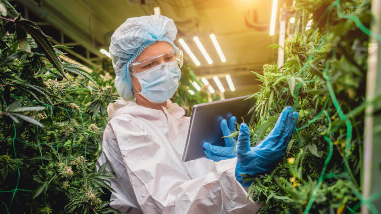 Canopy Growth-Aktie: Gleich zwei neue Gefahren