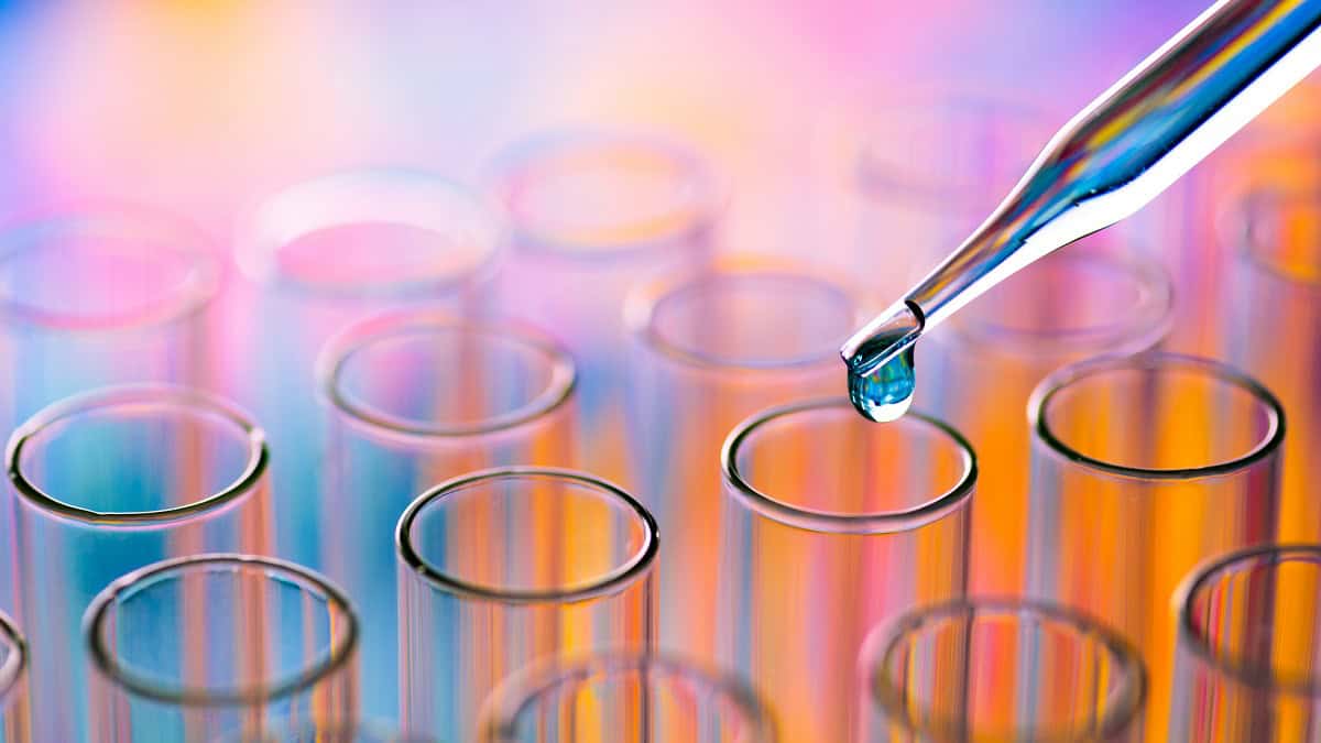 Instil Bio: Kaufgelegenheit nach Rücksetzer? › sharedeals.de