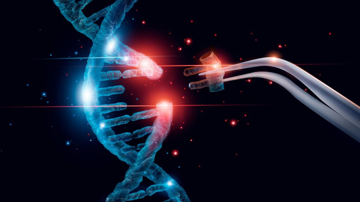 Precision BioSciences: Sind das jetzt Super-Schnäppchen? › sharedeals.de